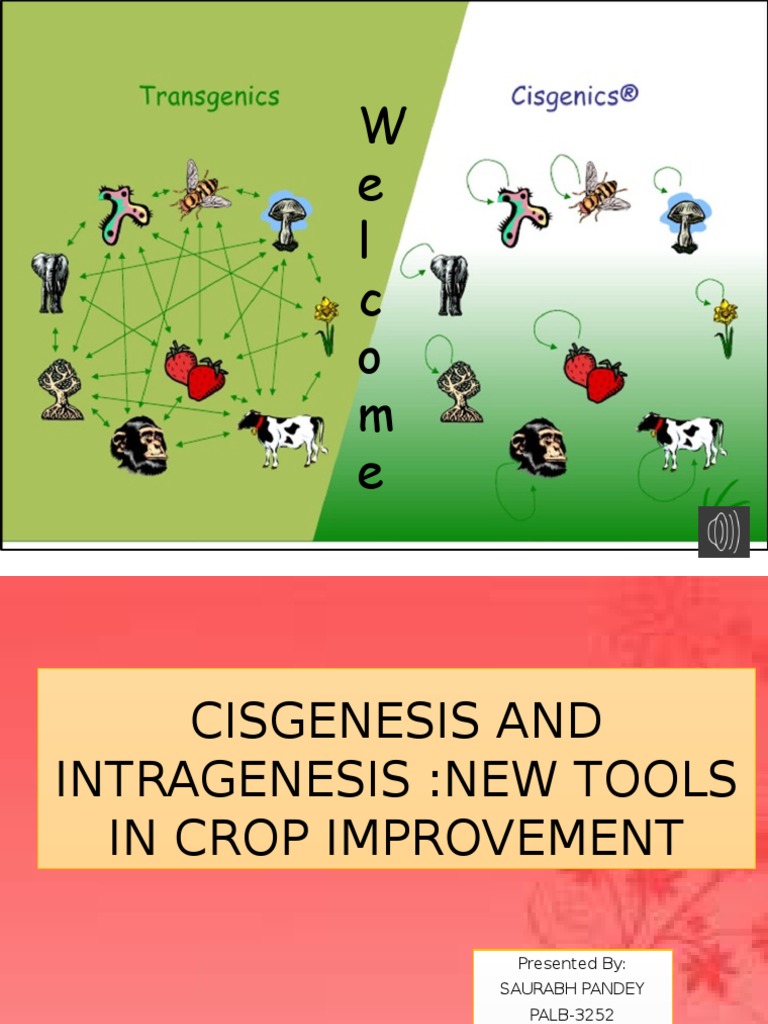 Cisgenesis | PDF | Plant Breeding | Plasmid