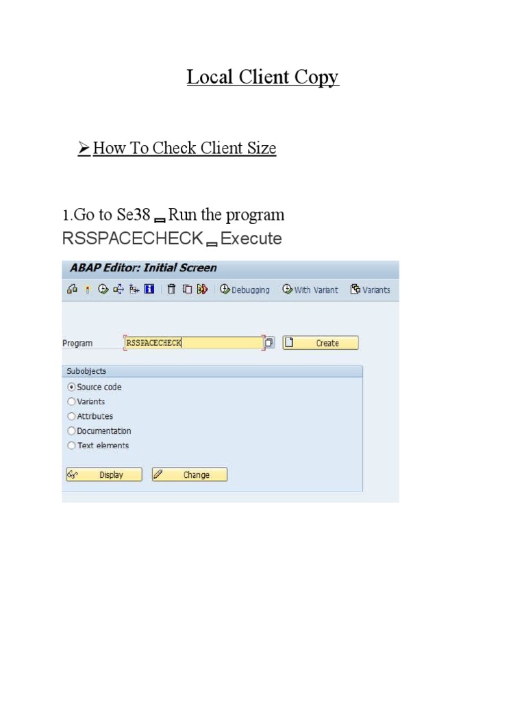 SAP Local Client | PDF