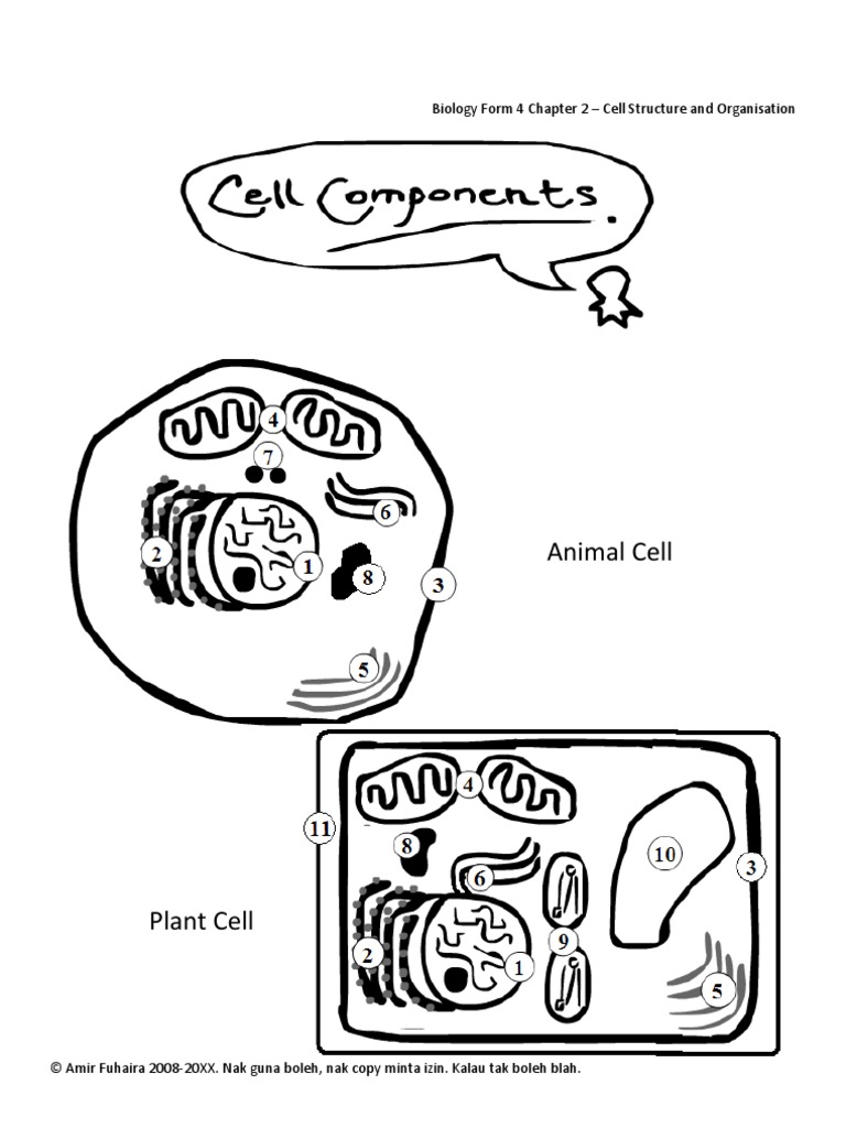 Biology Form 4 Chapter 2 Cell Structure and Organisation | PDF | Tissue ...