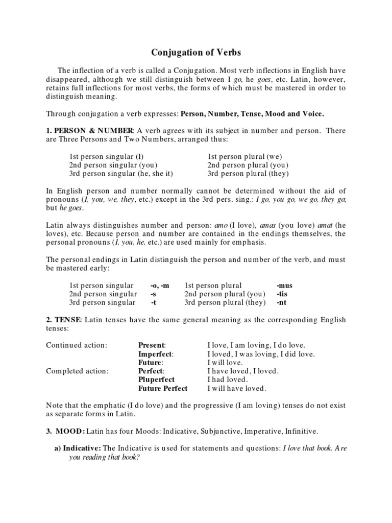 Understanding Verb Conjugation Basics | PDF | Grammatical Number | Verb