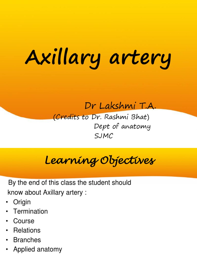 Axillary Artery | PDF | Arm | Anatomical Terms Of Location