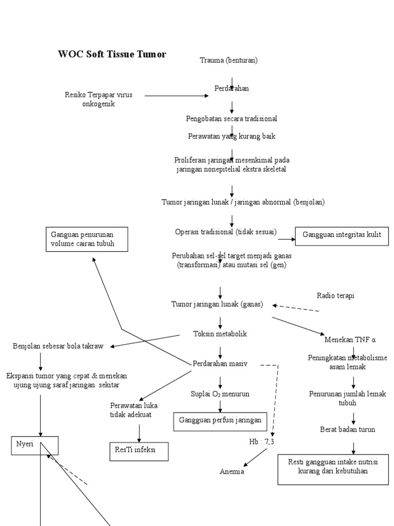 Tumor Jaringan Lunak: Risiko & Perawatan | PDF