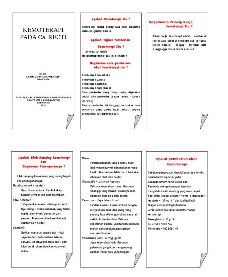 Leaflet Kemoterapi | PDF