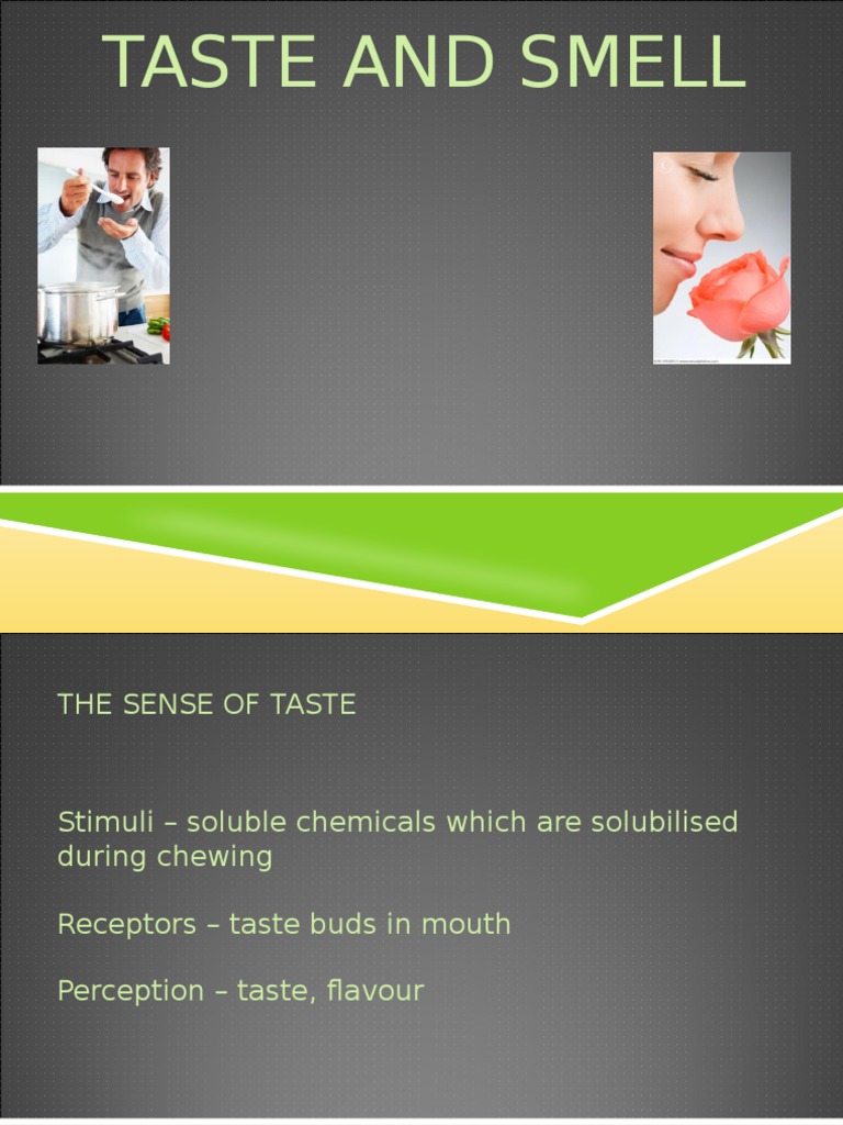 Taste and Smell Physiology Overview | PDF | Taste | Olfaction