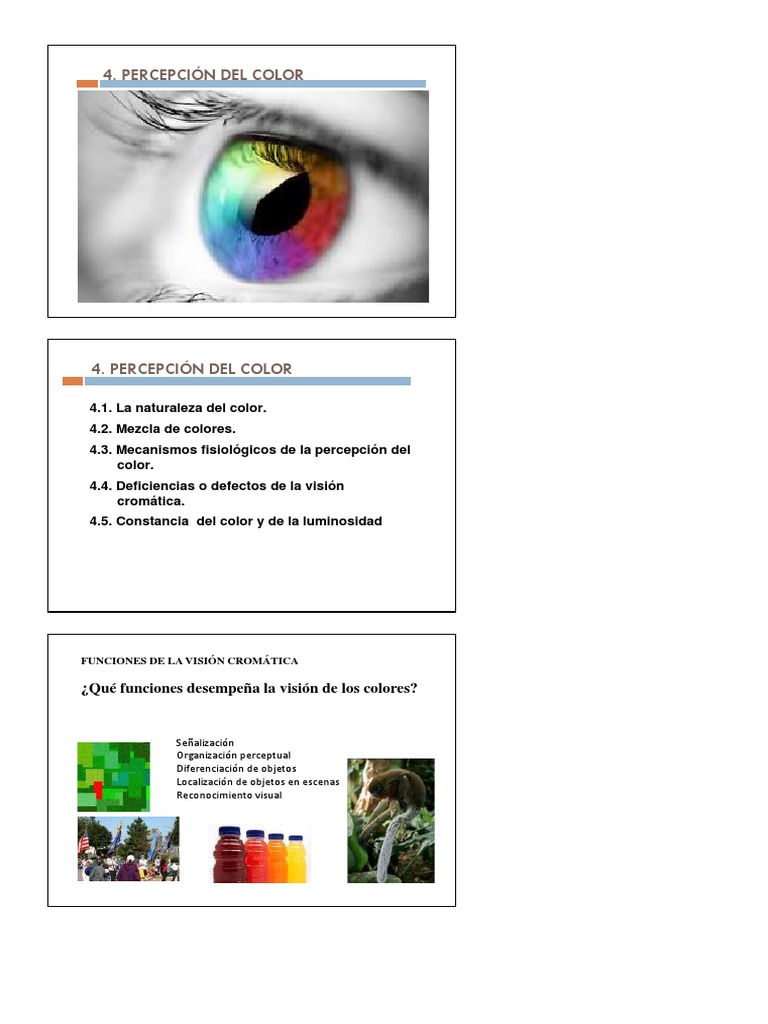 Tema4 Percepcion Del Color | PDF | Matiz | Color