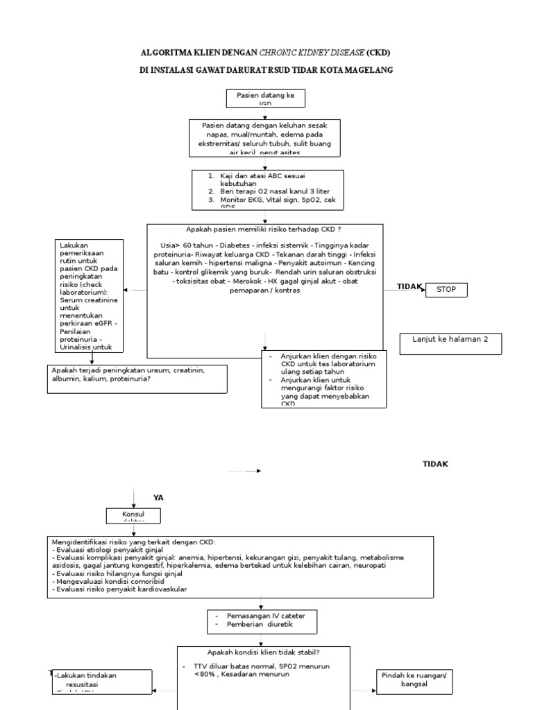 Algoritma Klien Dengan Chronic Kidney Disease | PDF