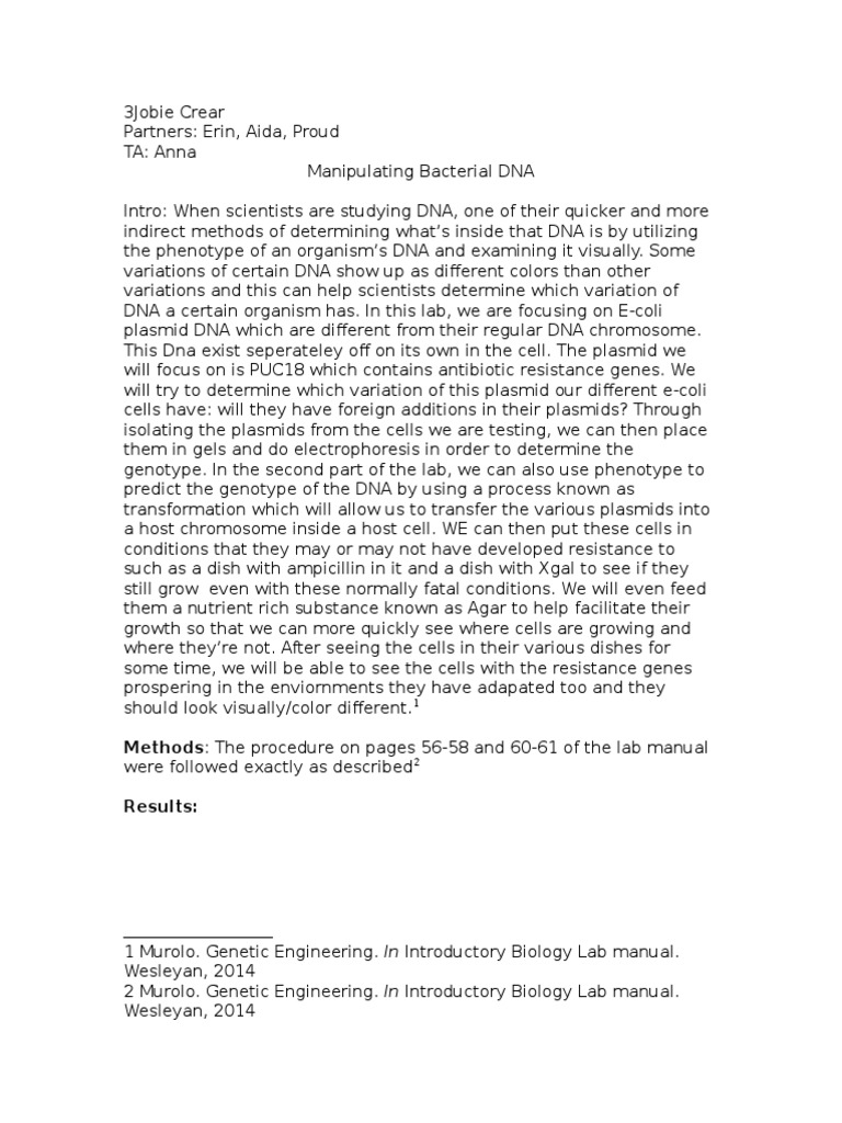Genetic Engineering Lab | PDF | Plasmid | Transformation (Genetics)