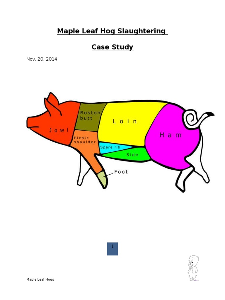 Maple Leaf Case Study | PDF | Slaughterhouse | Logistics