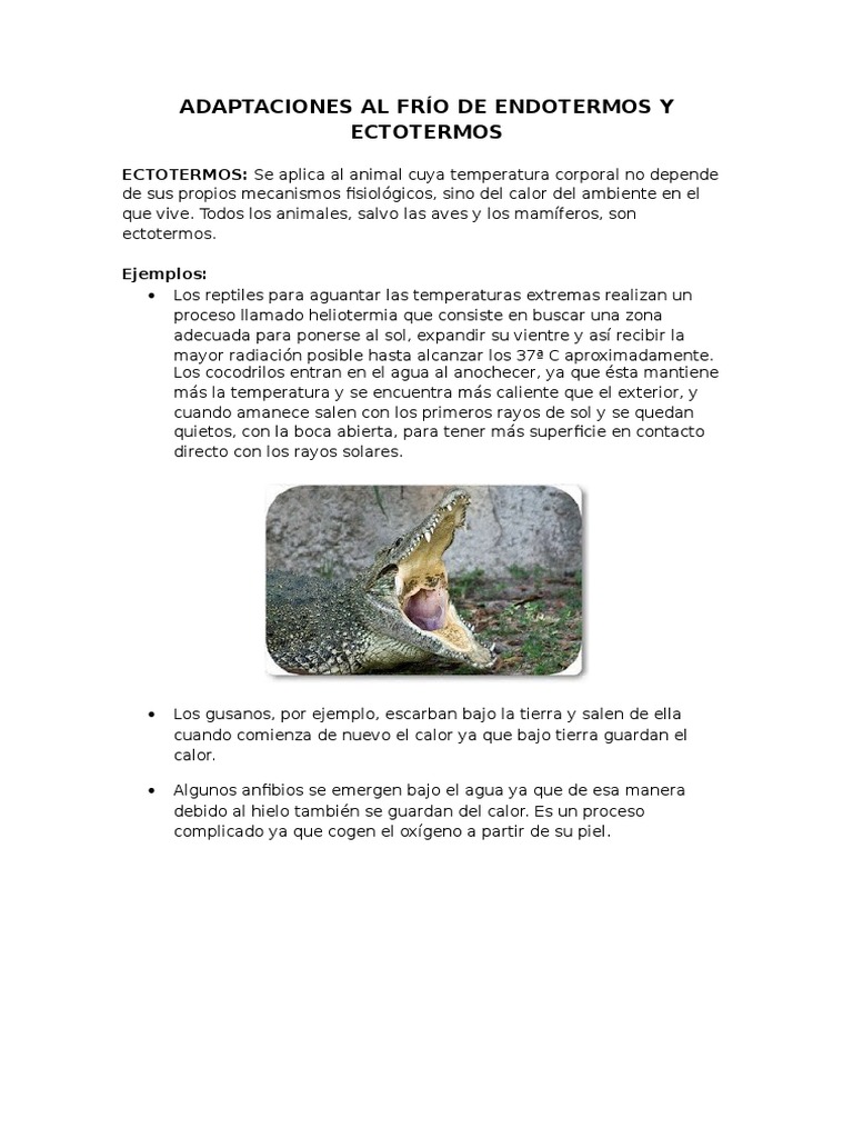 Adaptaciones Al Frío de Endotermos y Ectotermos | PDF ...