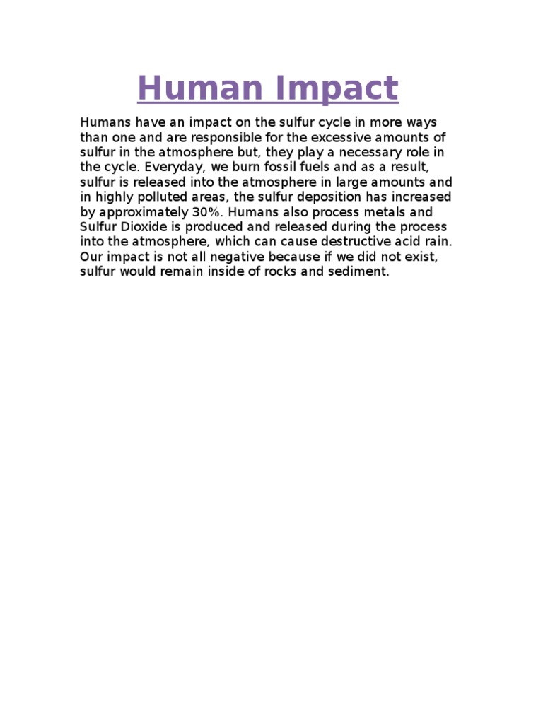 Human Imp | PDF