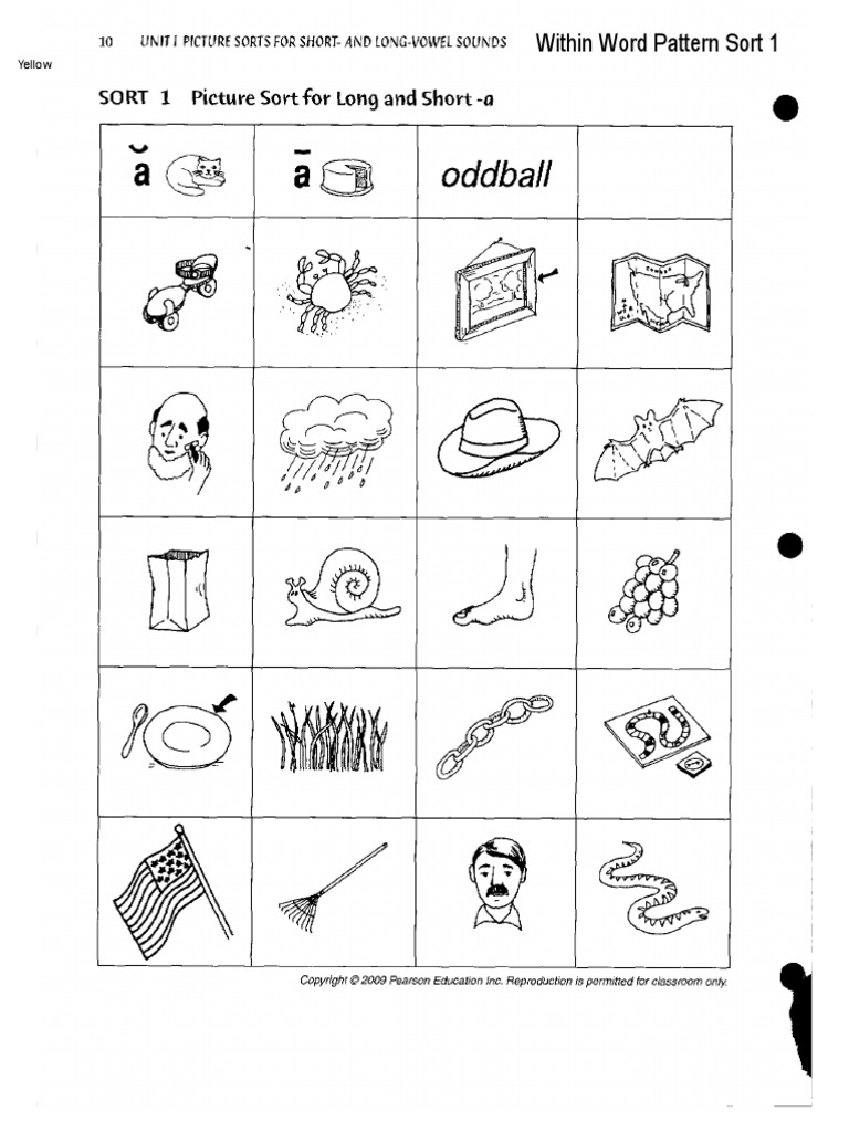Word Sorts All-Withinwordpattern | PDF