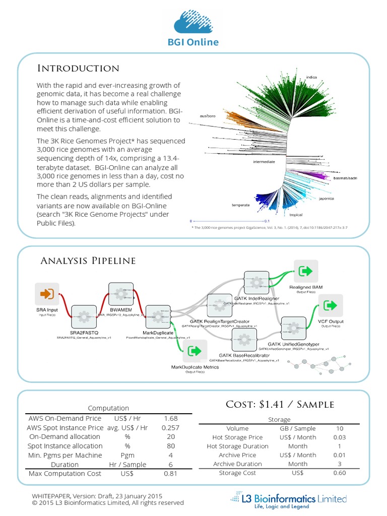 3000 Rice Genome White Paper | PDF | Bioinformatics | Computer Data Storage
