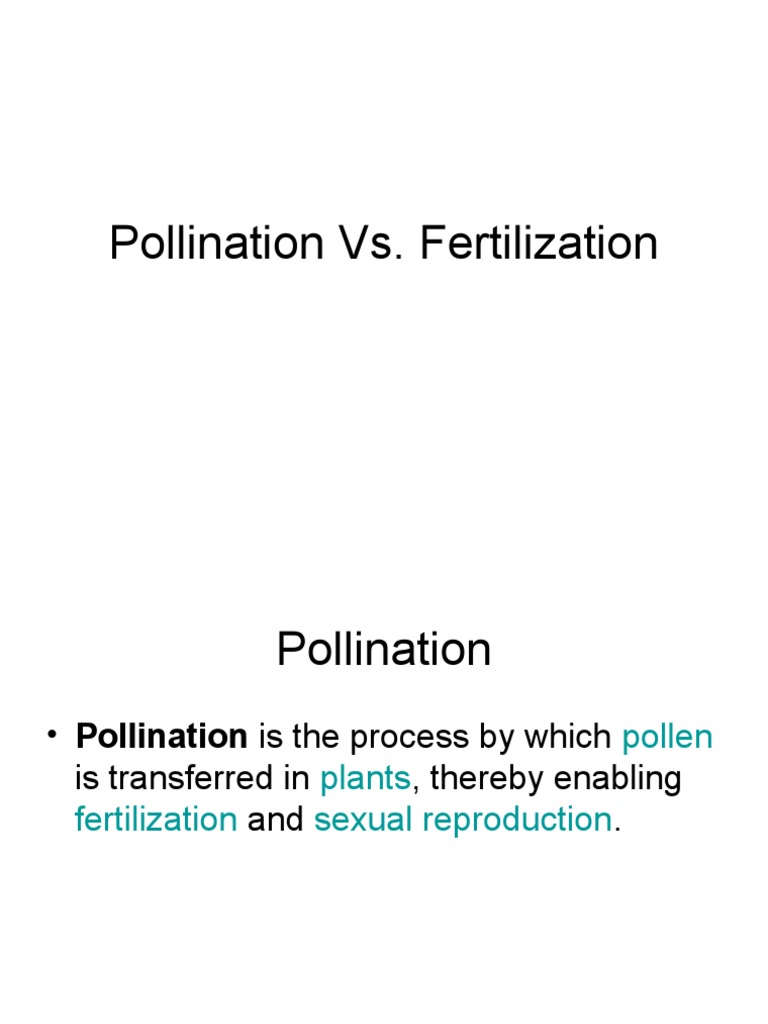 Pollination Vs Fertilization | Download Free PDF | Pollination | Seed