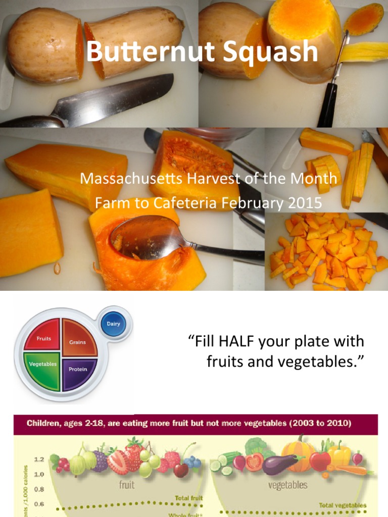Butternut Squash School Lunch Guide | PDF