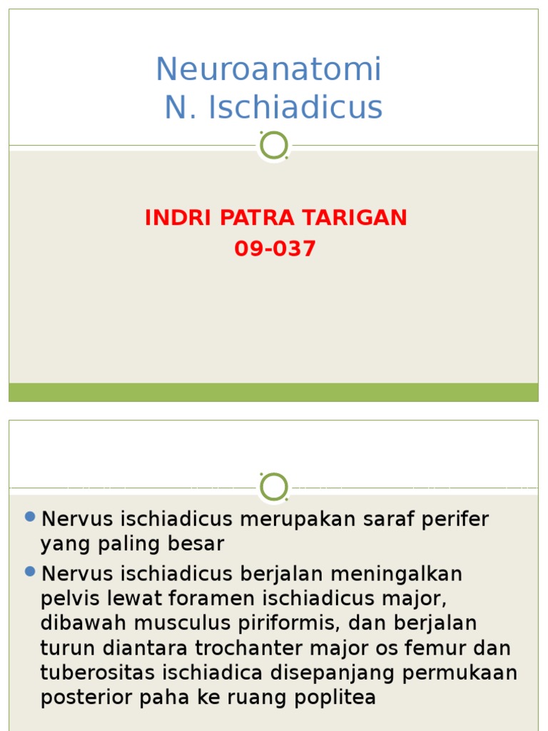 Anatomi Dan Perjalanan Nervus Ischiadicus - Dr. Jan Andreas | PDF