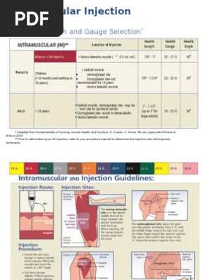 Intramuscular Injection Sites Chart