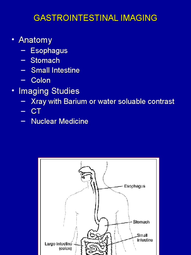 Gastrointestinal Imaging Anatomy | PDF