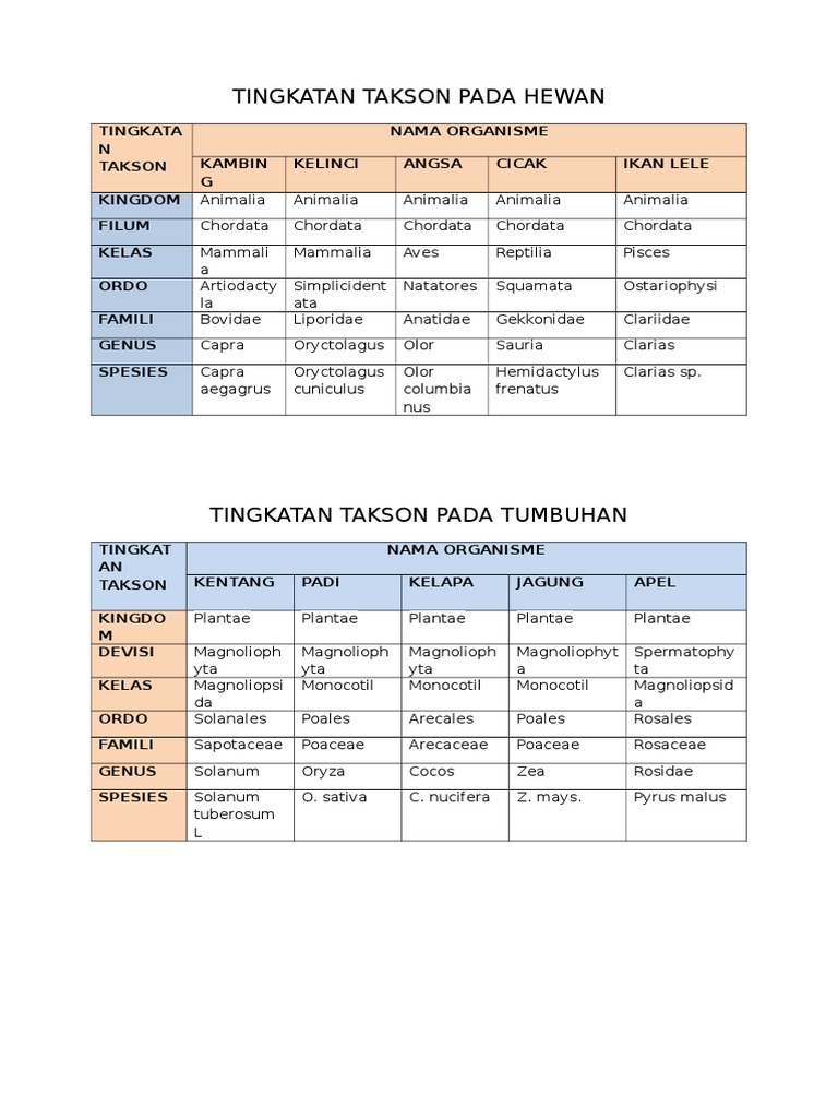 Urutan Tingkatan Takson Dalam Klasfikasi Makhluk Hidup