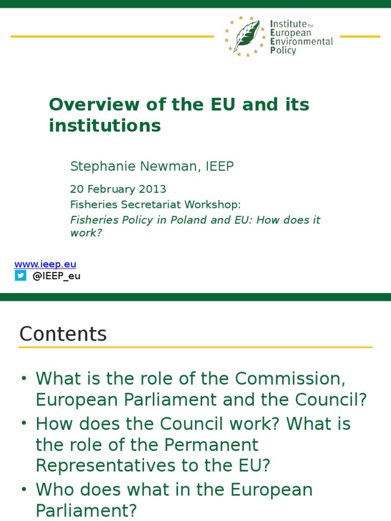 Overview of The EU and Its Institutions1 | PDF | European Parliament ...