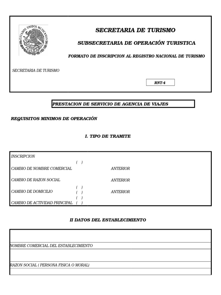 Formato RNT 4 | PDF