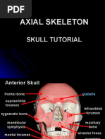 Chapter 7 Lab Assignment - Axial Skeleton Labeling | PDF | Vertebra | Skull