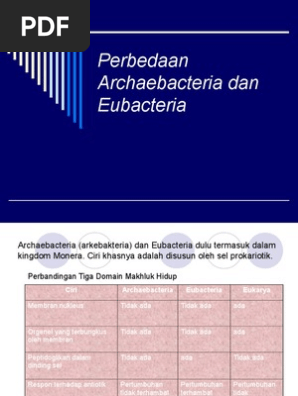 Eubacteria Dan Archaebacteria Pdf