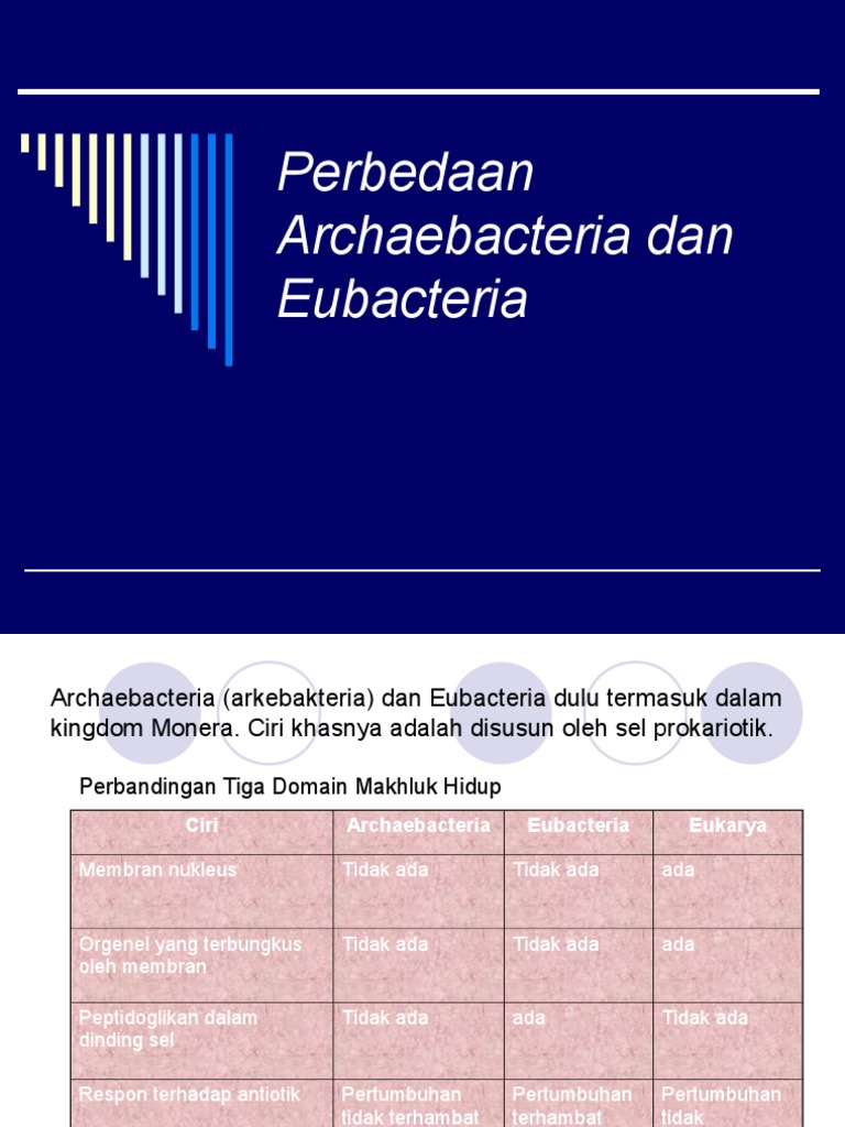 Perbedaan Archaebacteria Dan Eubacteria | PDF