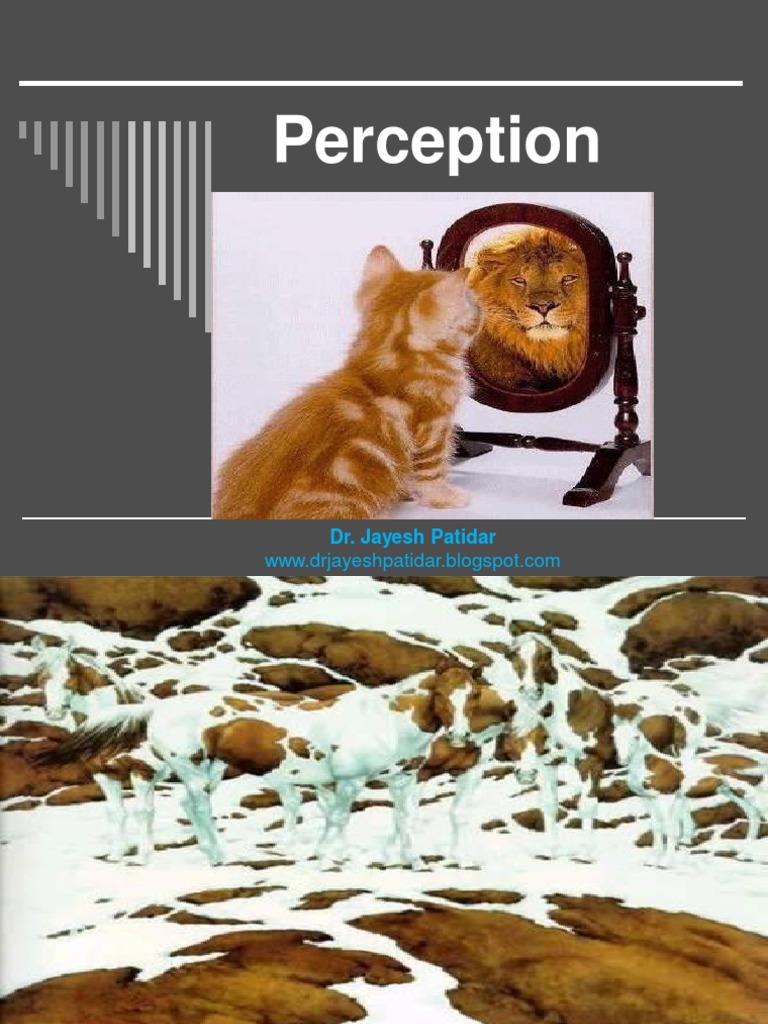 Perception | PDF | Perception | Experimental Psychology