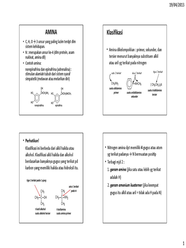 Koii 8 Senyawa Amina | PDF