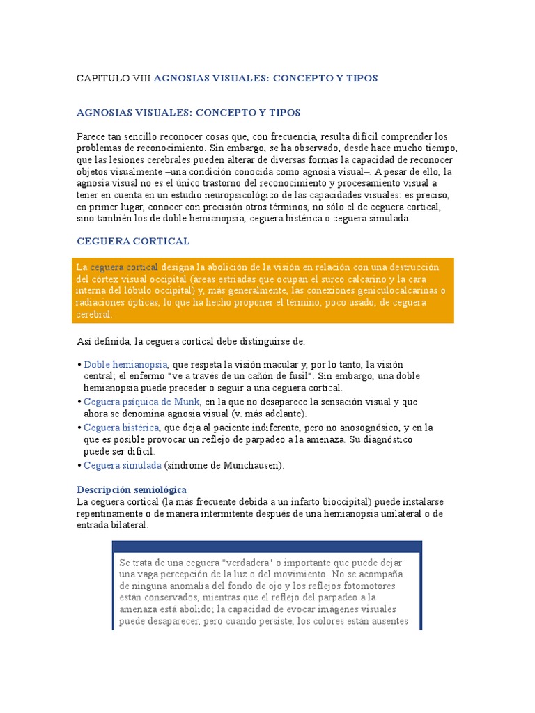 Agnosias Visuales y Ceguera Cortical | PDF | Percepción visual | Percepción