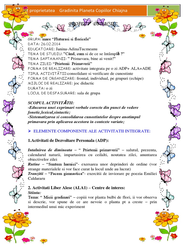 Proiect Didactic Definitivat DLC Dec2 Grupa Mare | PDF