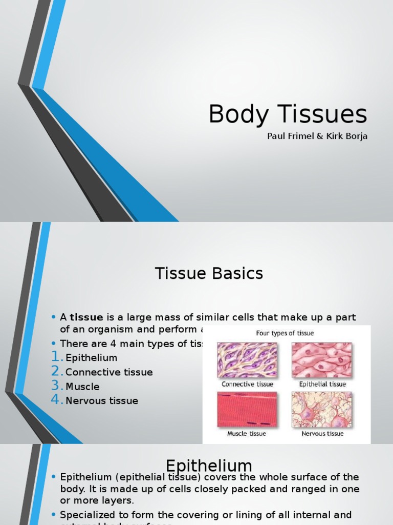 Body Tissues | PDF