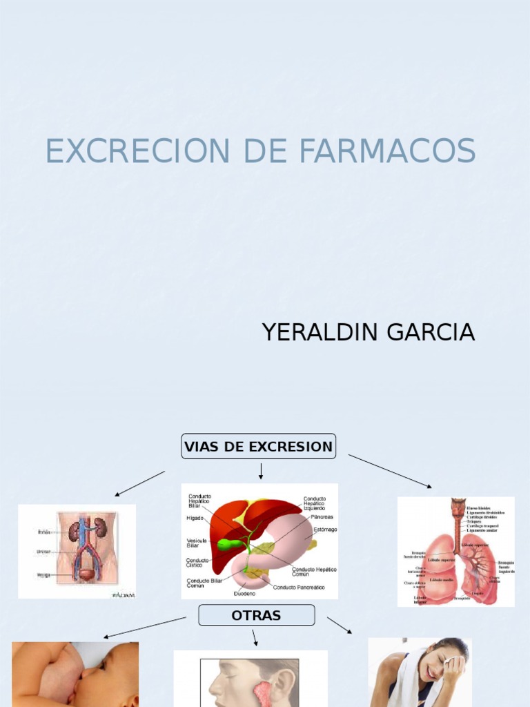 Excrecion de Farmacos | PDF | Riñón | Orina