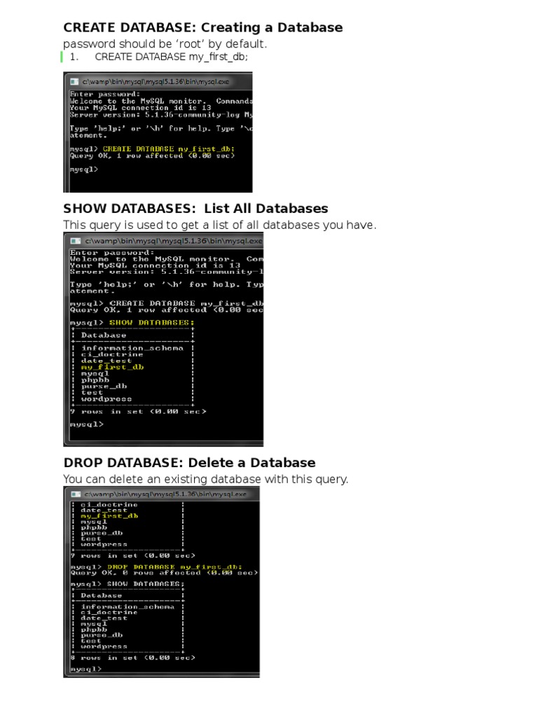 CREATE DATABASE: Creating A Database: Password Should Be Root' by Default | Download Free PDF ...