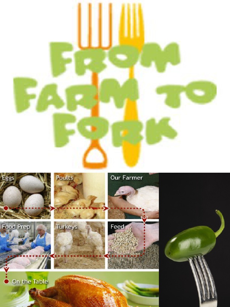 From FARM to FORK.ppt | Retail | Vegetables | Free 30-day Trial | Scribd