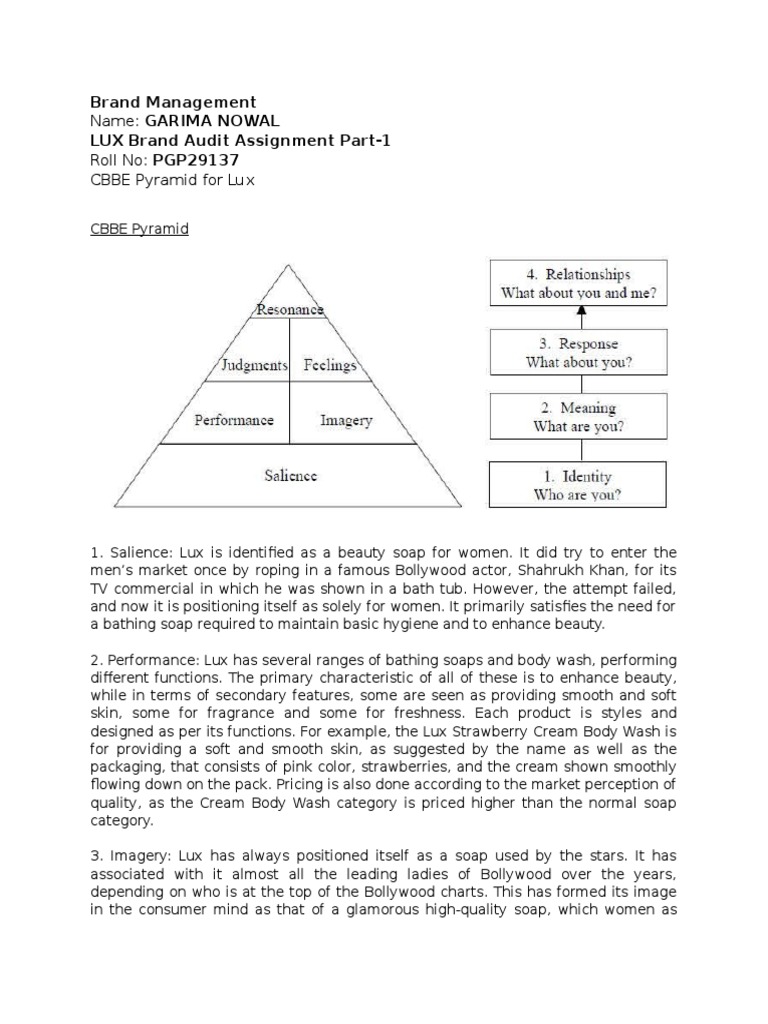 Lux Brand Audit - CBBE Pyramid | PDF | Brand | Business Economics