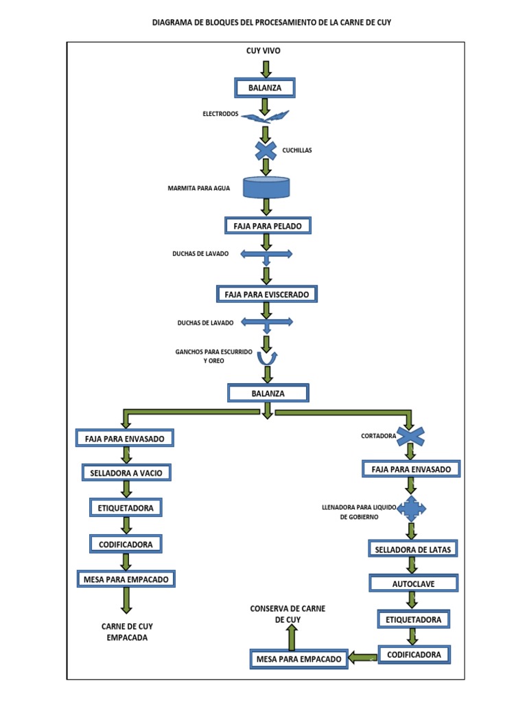 Diagrama De Bloques Del Mouse Diagramas De Bloques De - vrogue.co Diagrama De Bloques Del Mouse Diagramas De Bloques De - vrogue.co
