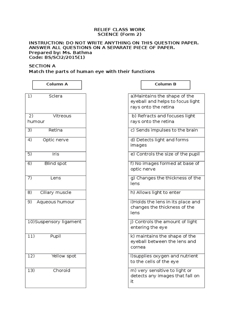 Form 2 Science Worksheet | PDF | Human Eye | Visual System