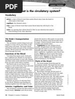 COREQ 32 Item Checklist | PDF | Focus Group | Qualitative Research