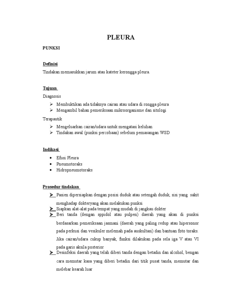 Punksi PLEURA | PDF