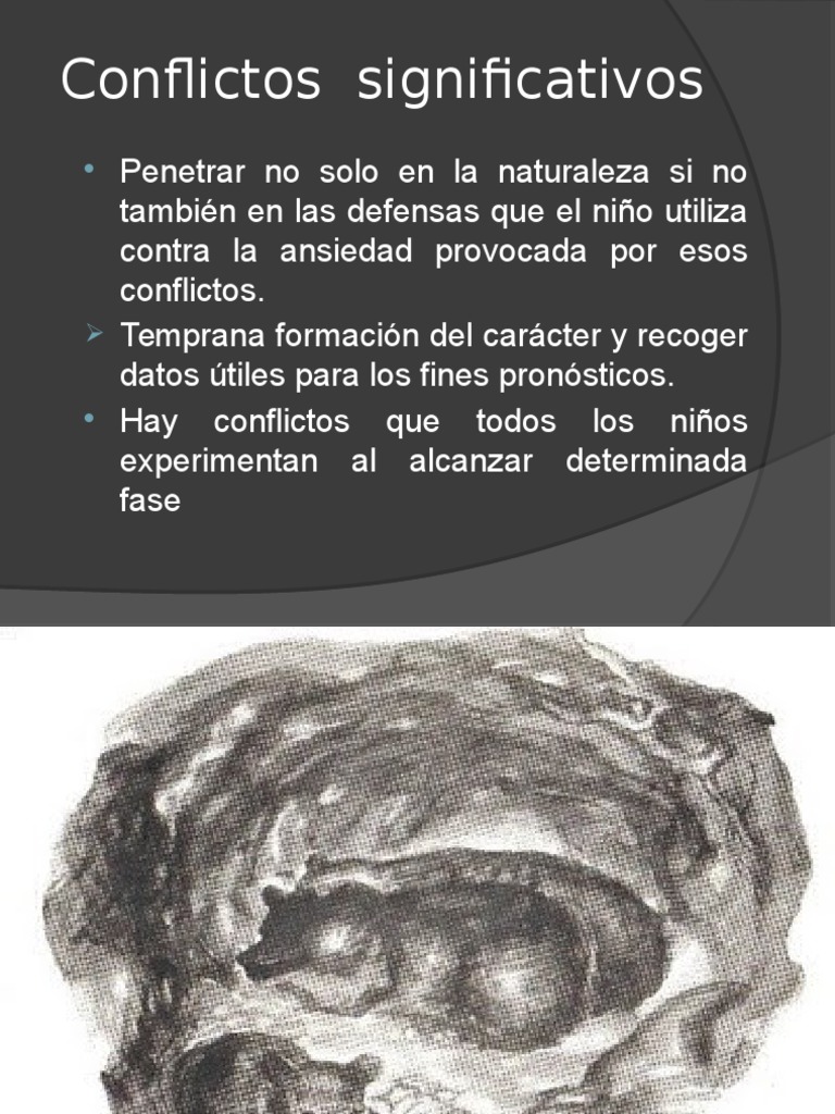 Lamina 6 Cat | PDF | Osos