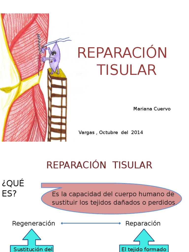 Cuadernillo de Reparacion Tisular | PDF