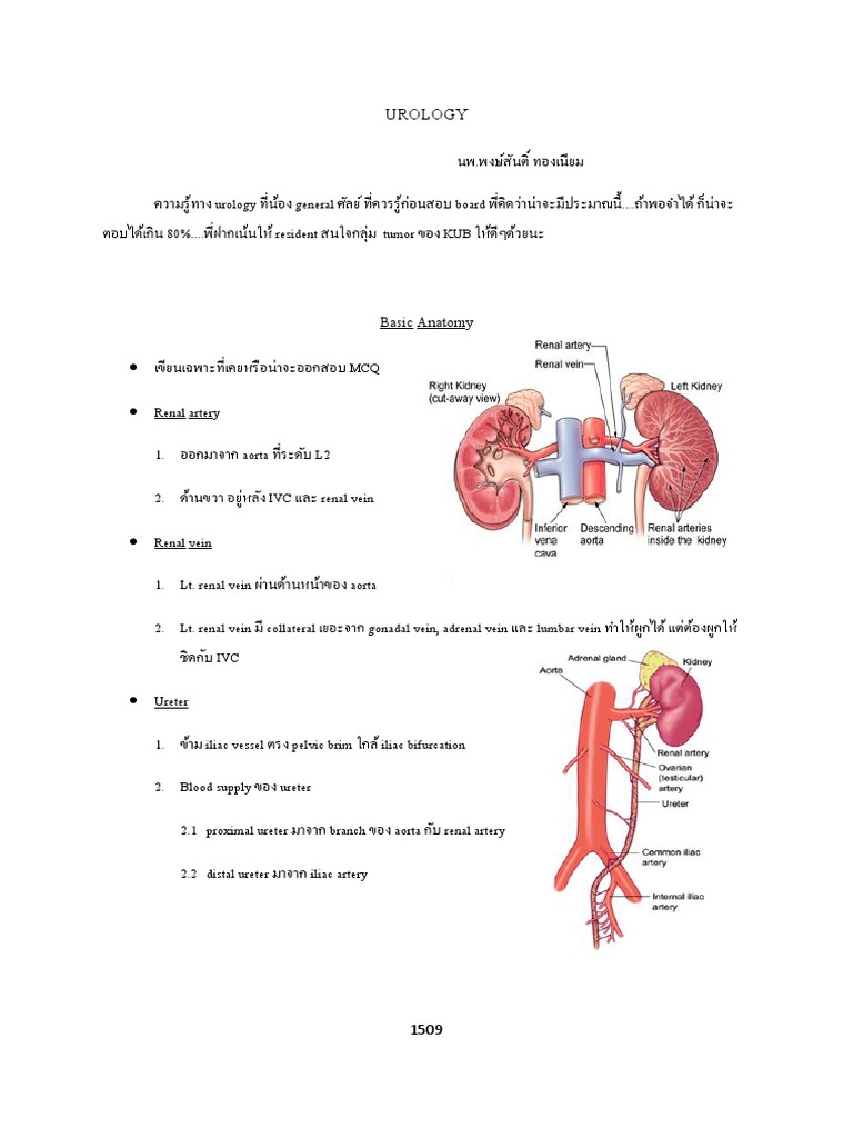40 Urology | PDF
