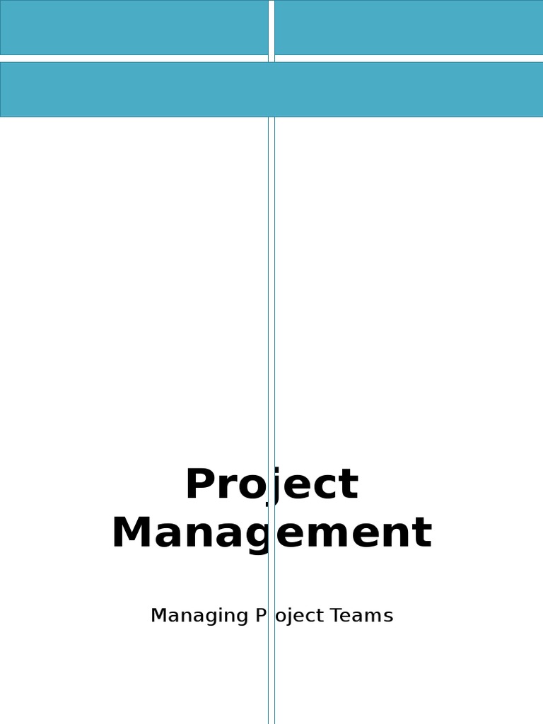 Project Team Management | PDF | Motivation | Motivational