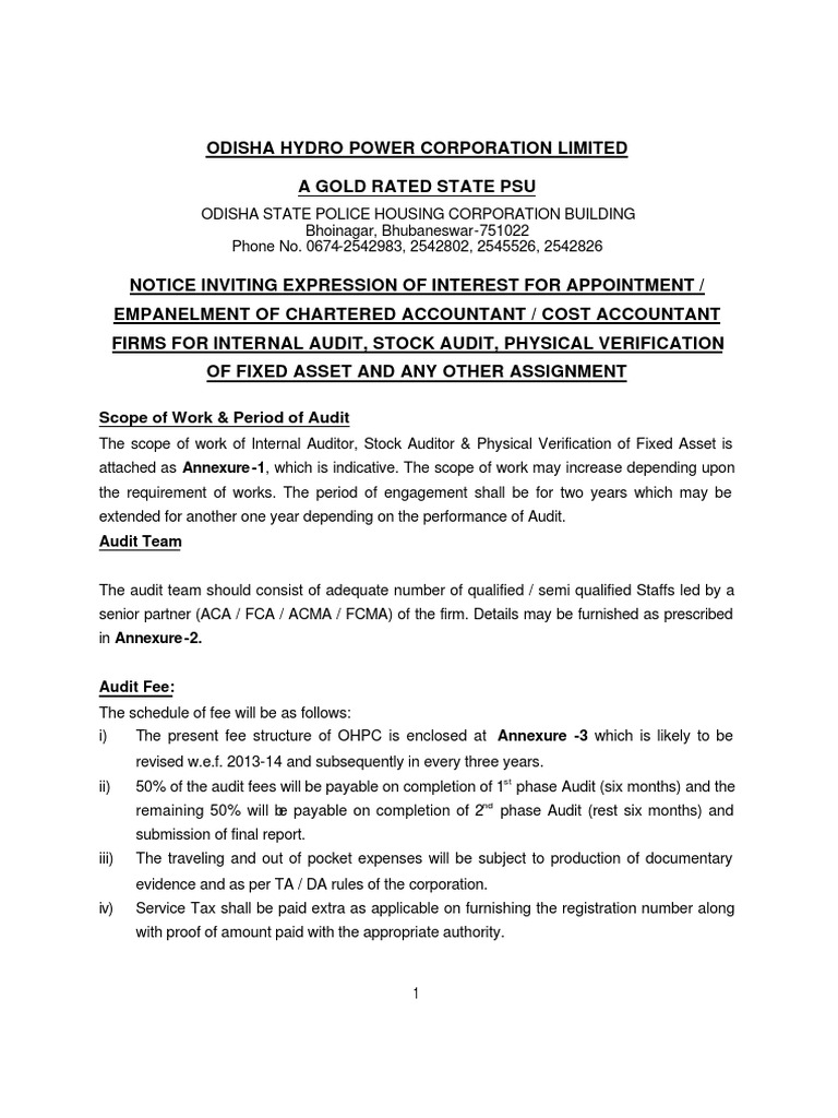 Expressin of Interest - Document PDF | PDF | Audit | Internal Audit