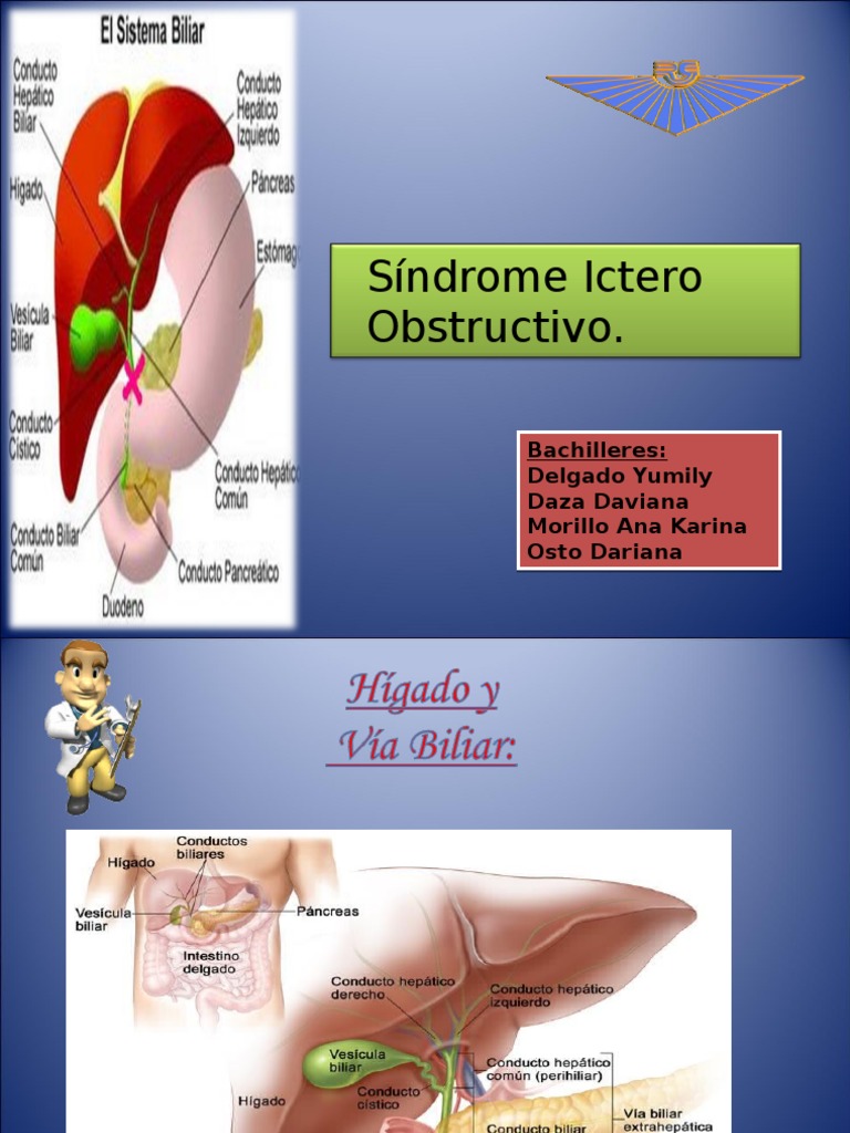 Sindrome Ictero Obstructivo | PDF | Órgano (anatomía) | Abdomen