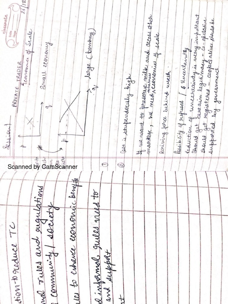 Càc Document Scans Overview | PDF