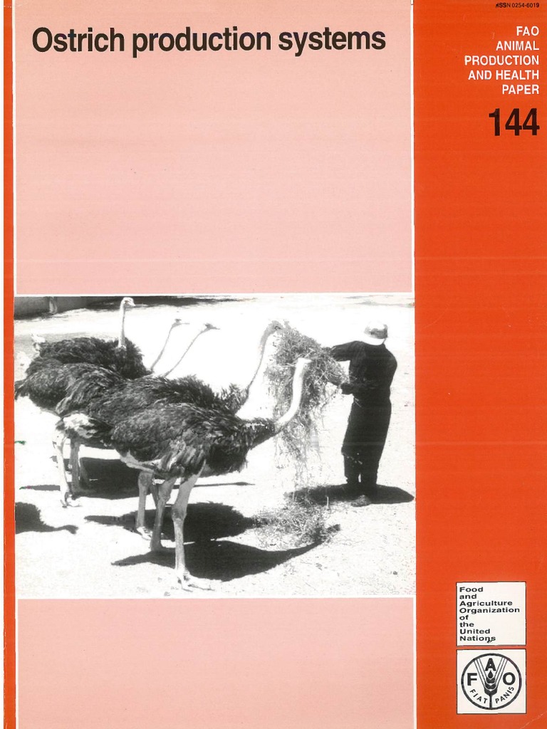 Ostrich Farm | PDF