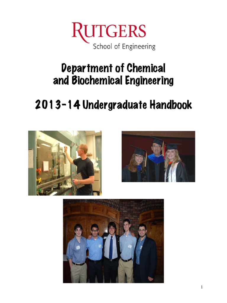 Chemical Engineering Curriculum Handbook | PDF | Academic Integrity ...
