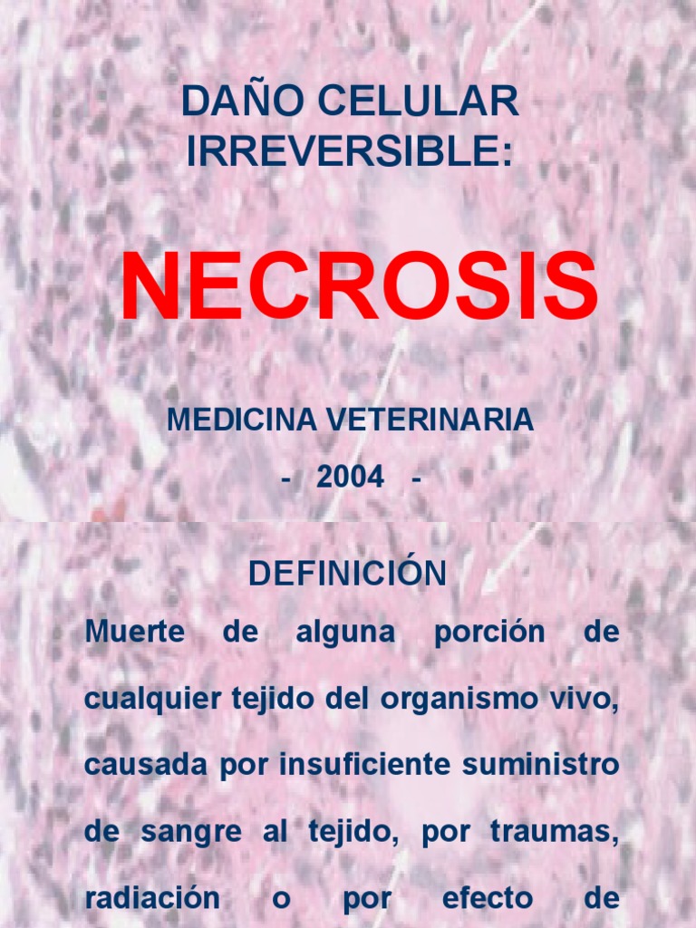Causas y características de la necrosis | PDF | Apoptosis | Necrosis